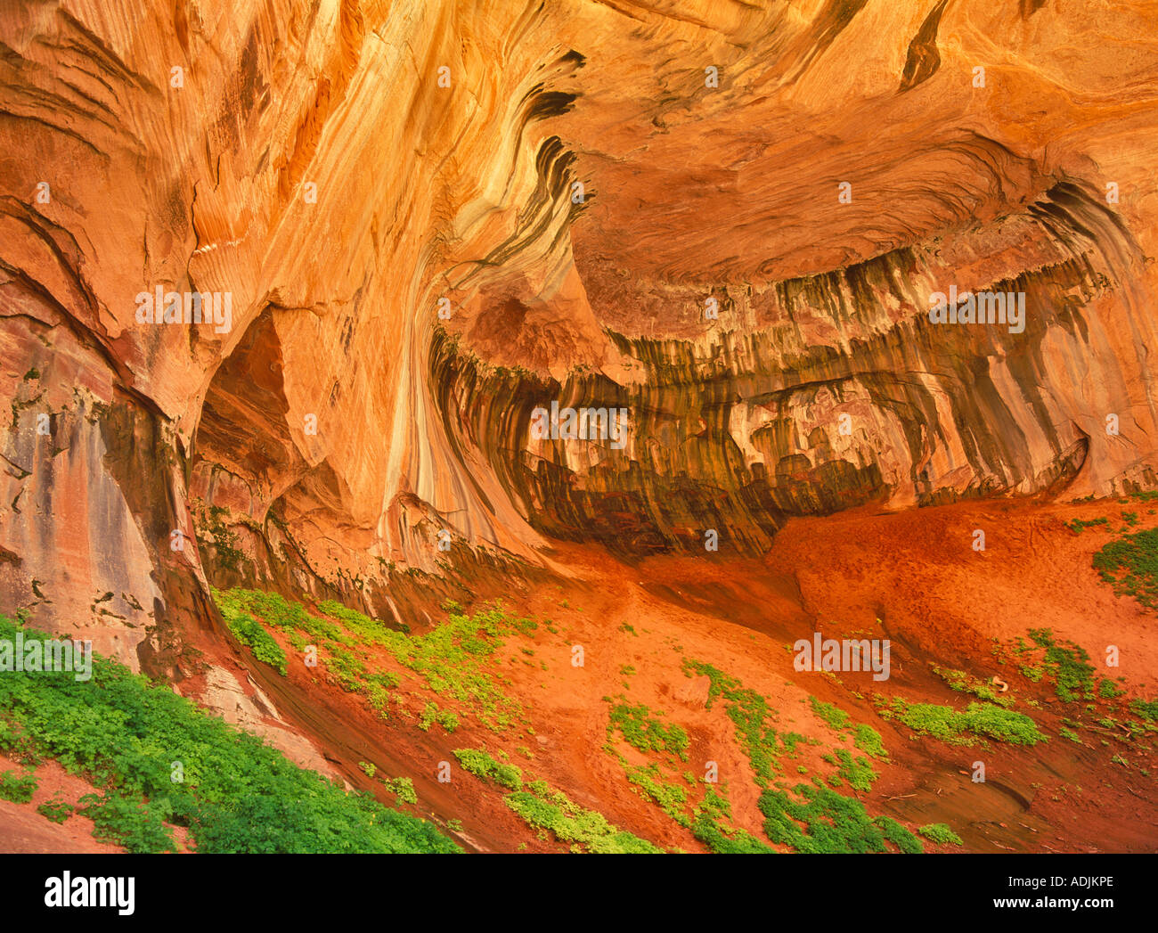 Double Arch Alcove Zion National Park Utah Stock Photo - Alamy