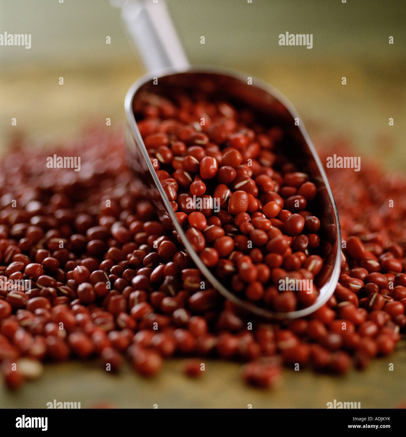 A spoon of beans Stock Photo - Alamy