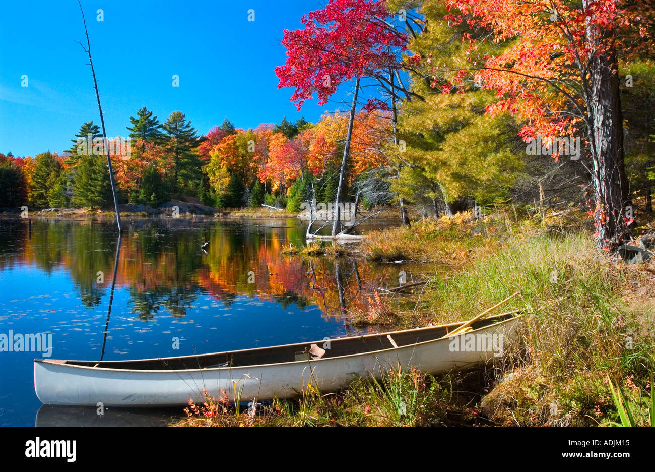 fall scenery lake activity Stock Photo - Alamy