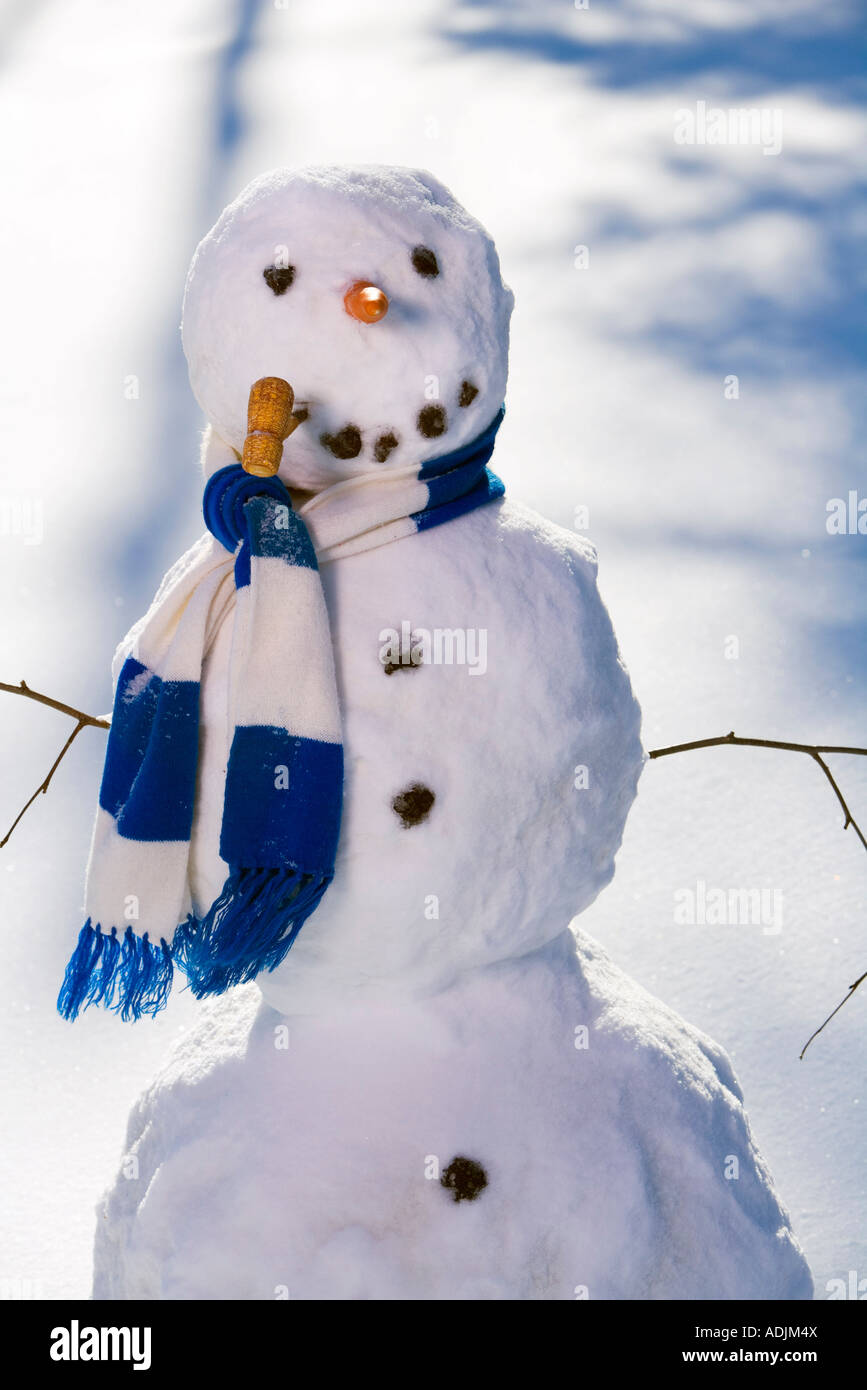 Snowman in the woods in afternoon light after making snow angel ...
