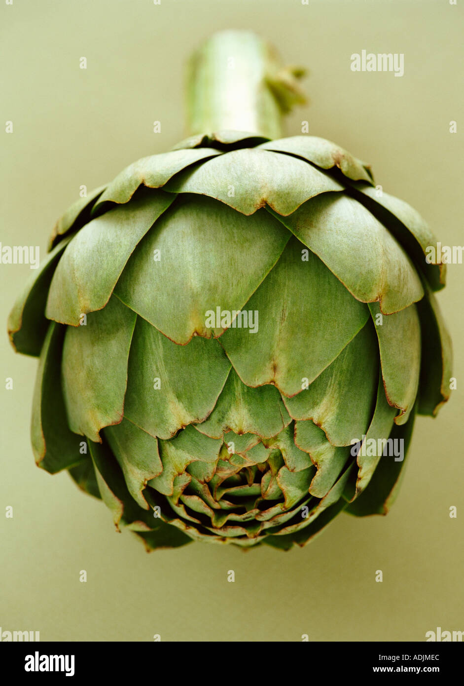Artichoke on pale green background Stock Photo - Alamy