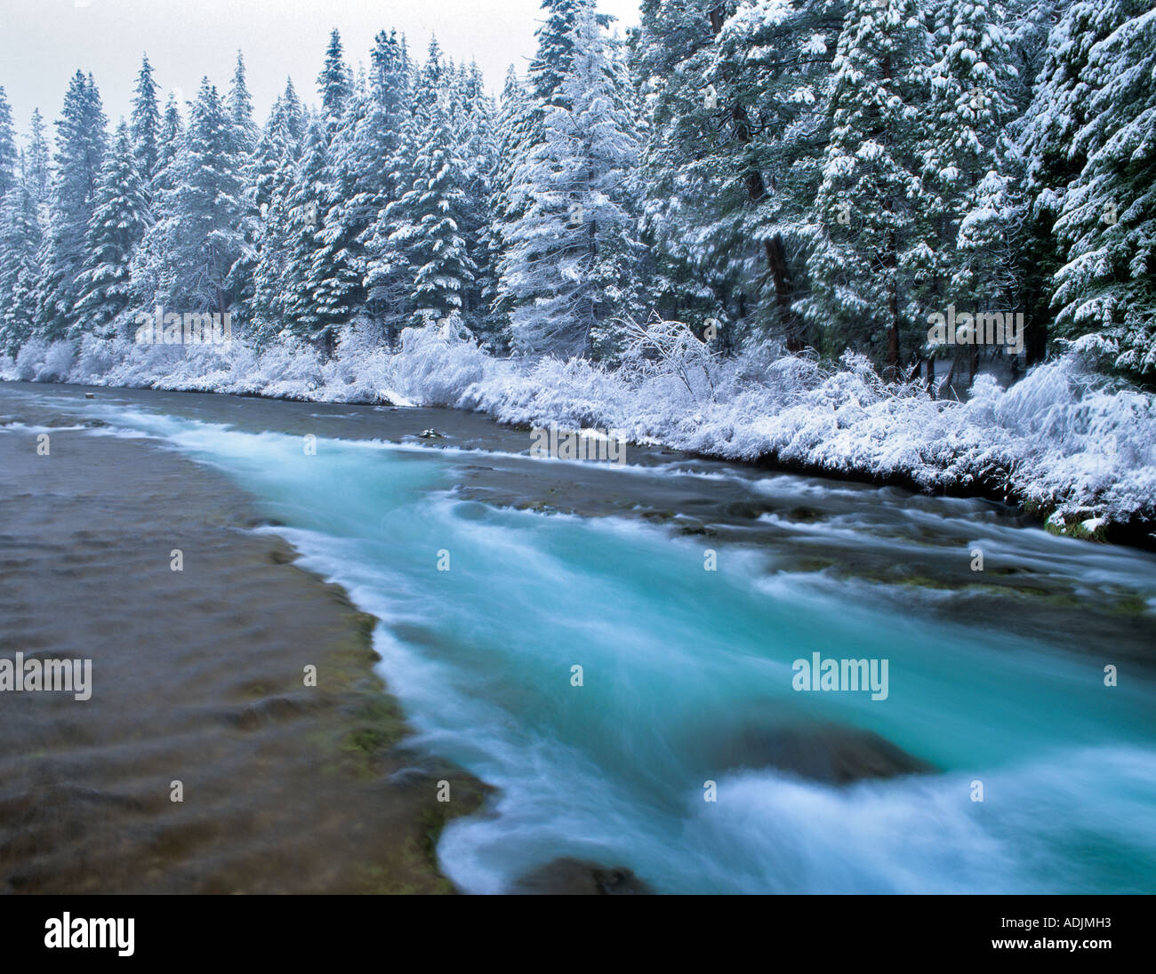Metolius River with fresh snow Oregon Stock Photo - Alamy