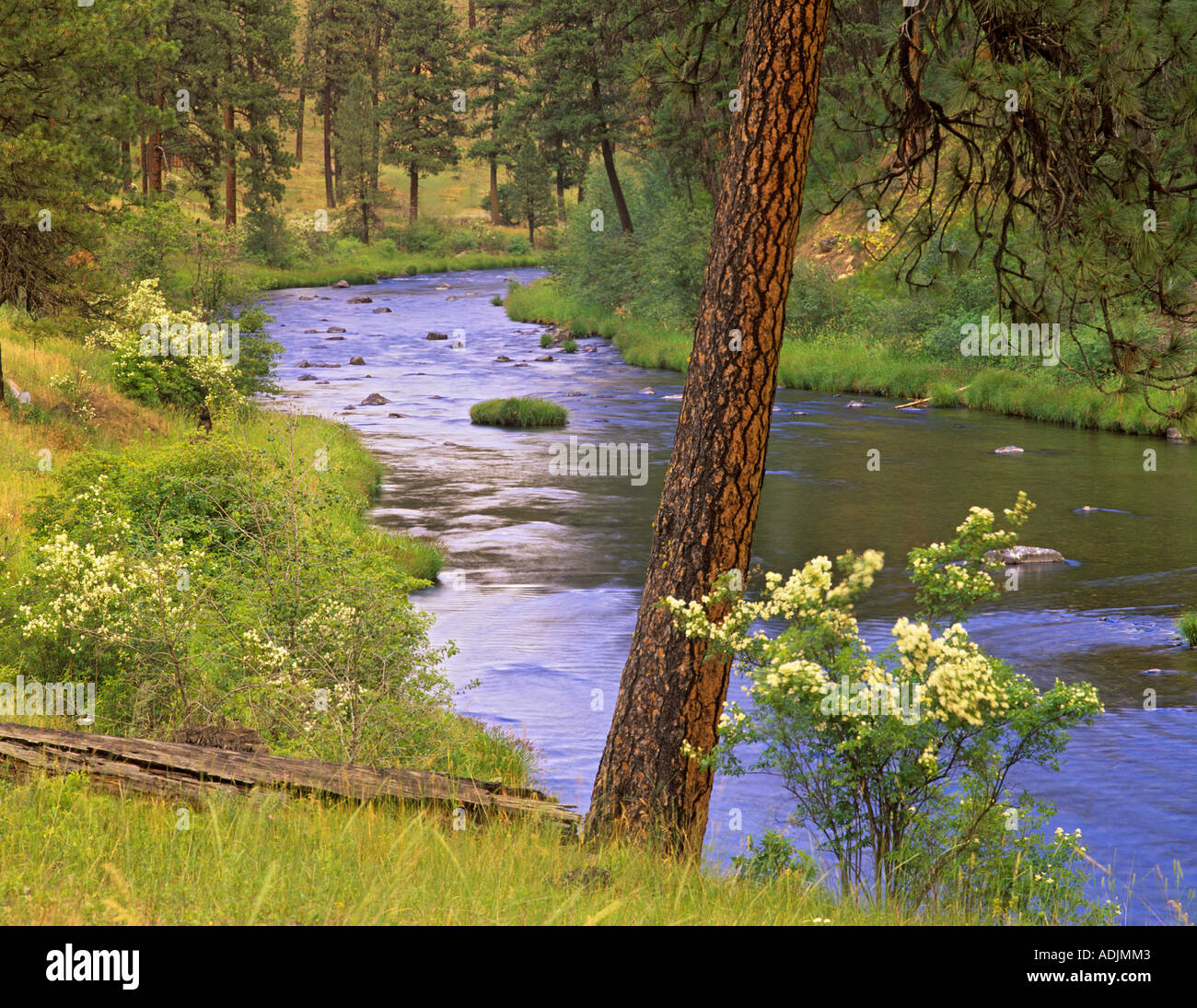 John day river scenic waterway hi-res stock photography and images - Alamy