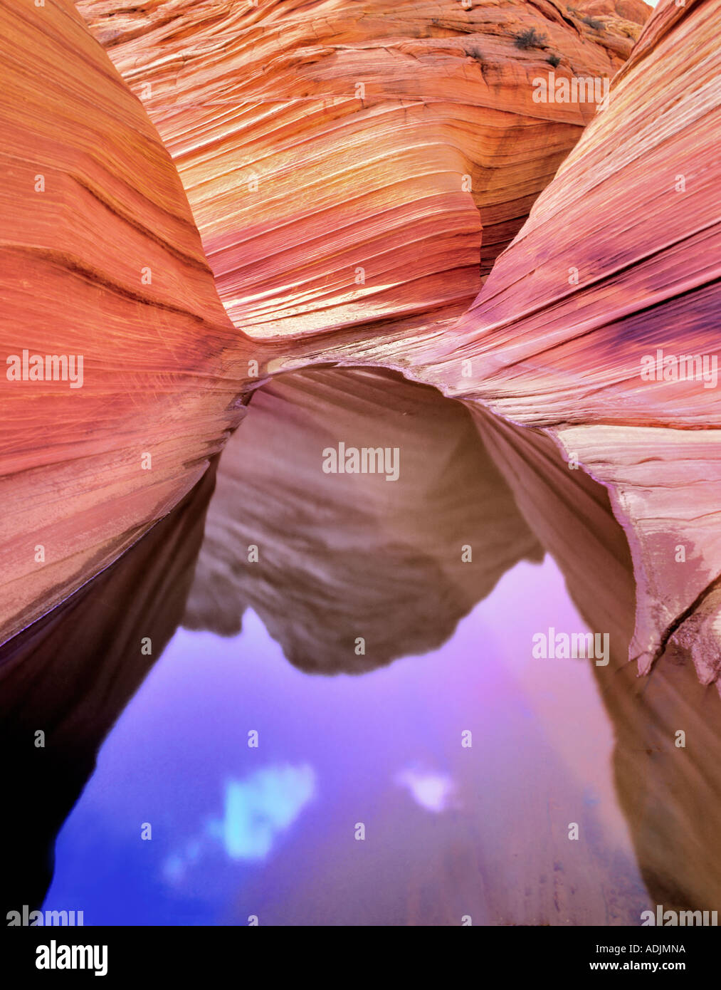 Pool of water reflecting The Wave Vermillion Cliffs Wilderness Arizona ...
