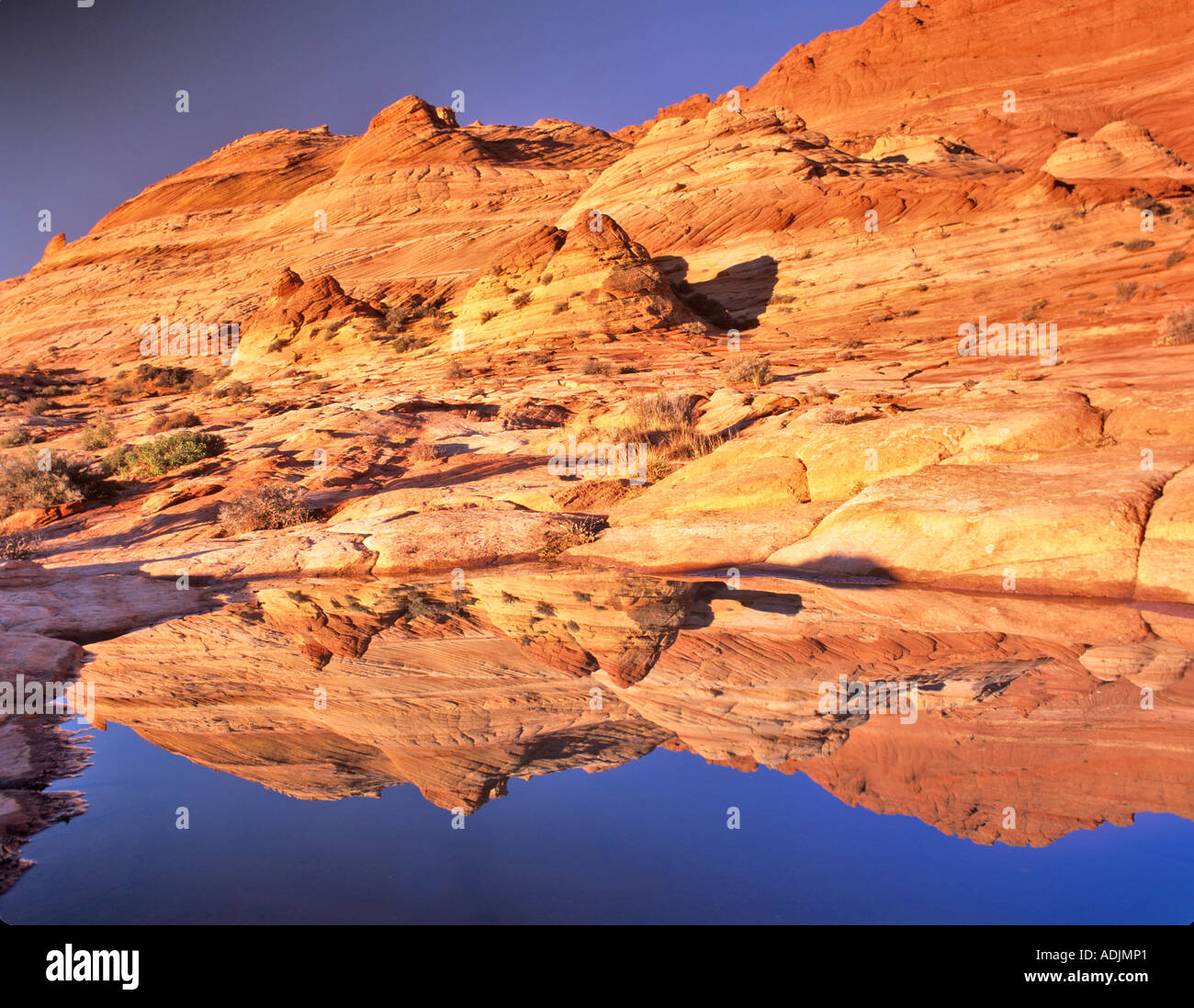 Rain water pond desert hi-res stock photography and images - Alamy