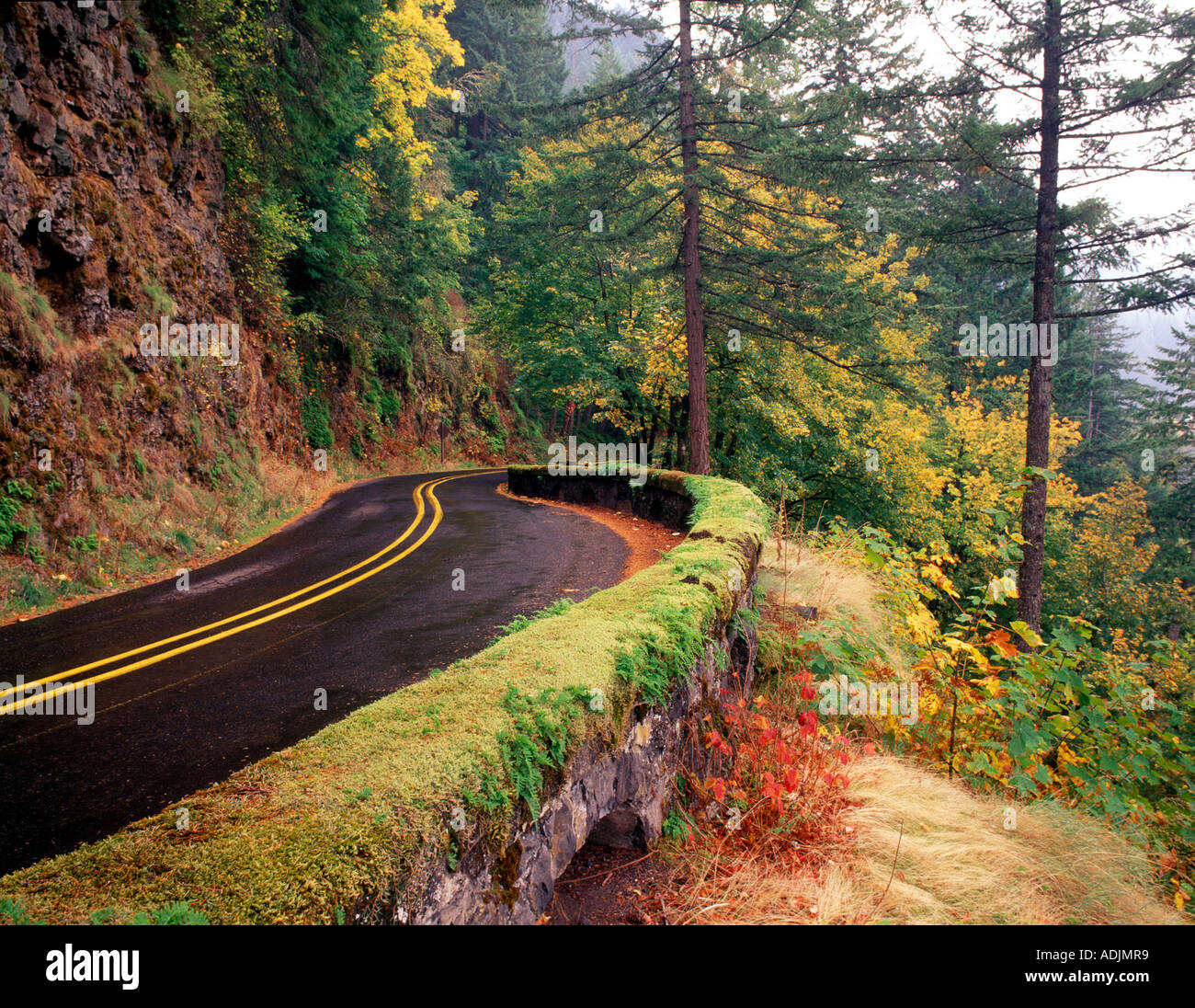 Columbia River Gorge Highway with moss covered stone wall and fall ...