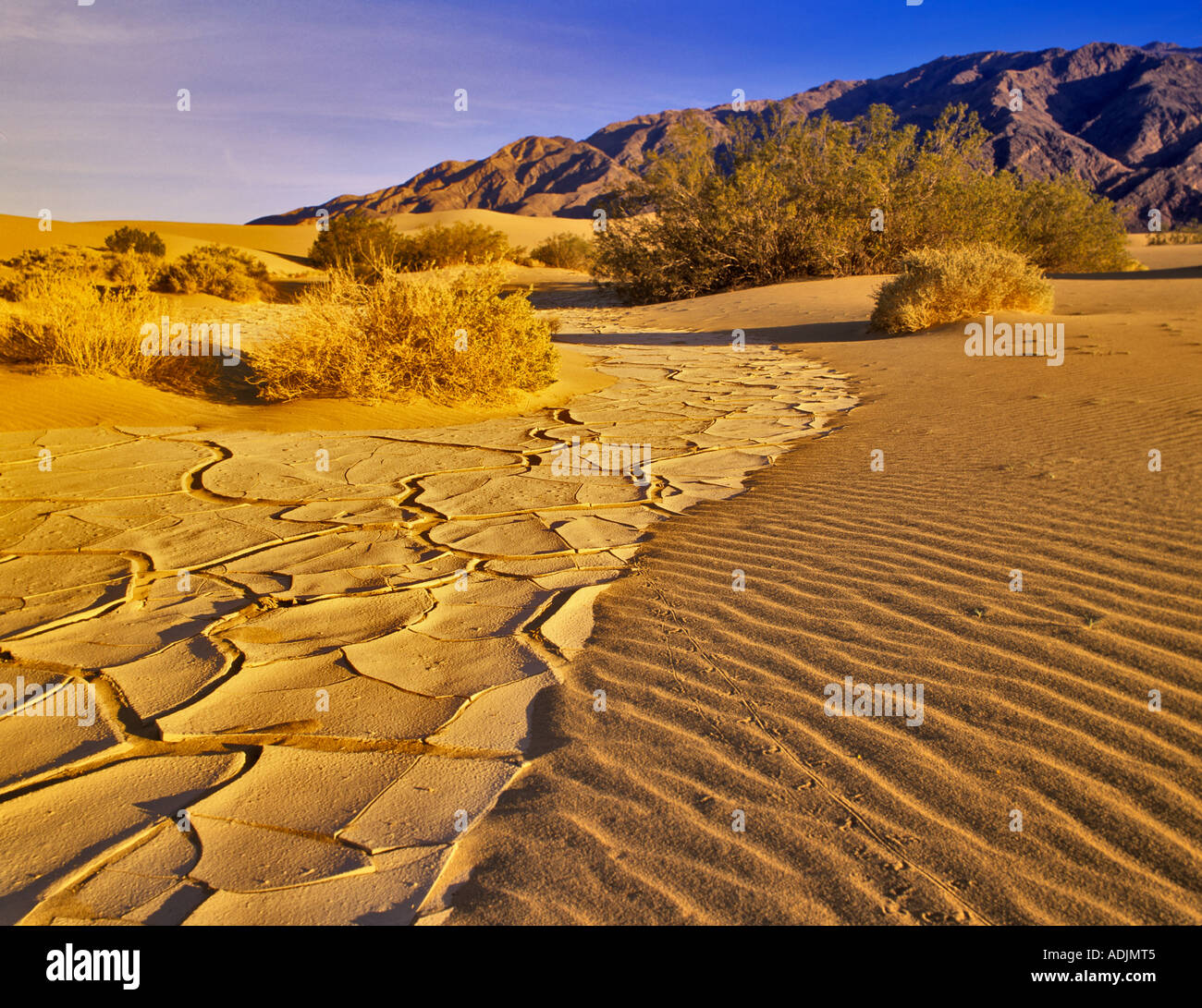 Orange mud tracks hi-res stock photography and images - Alamy
