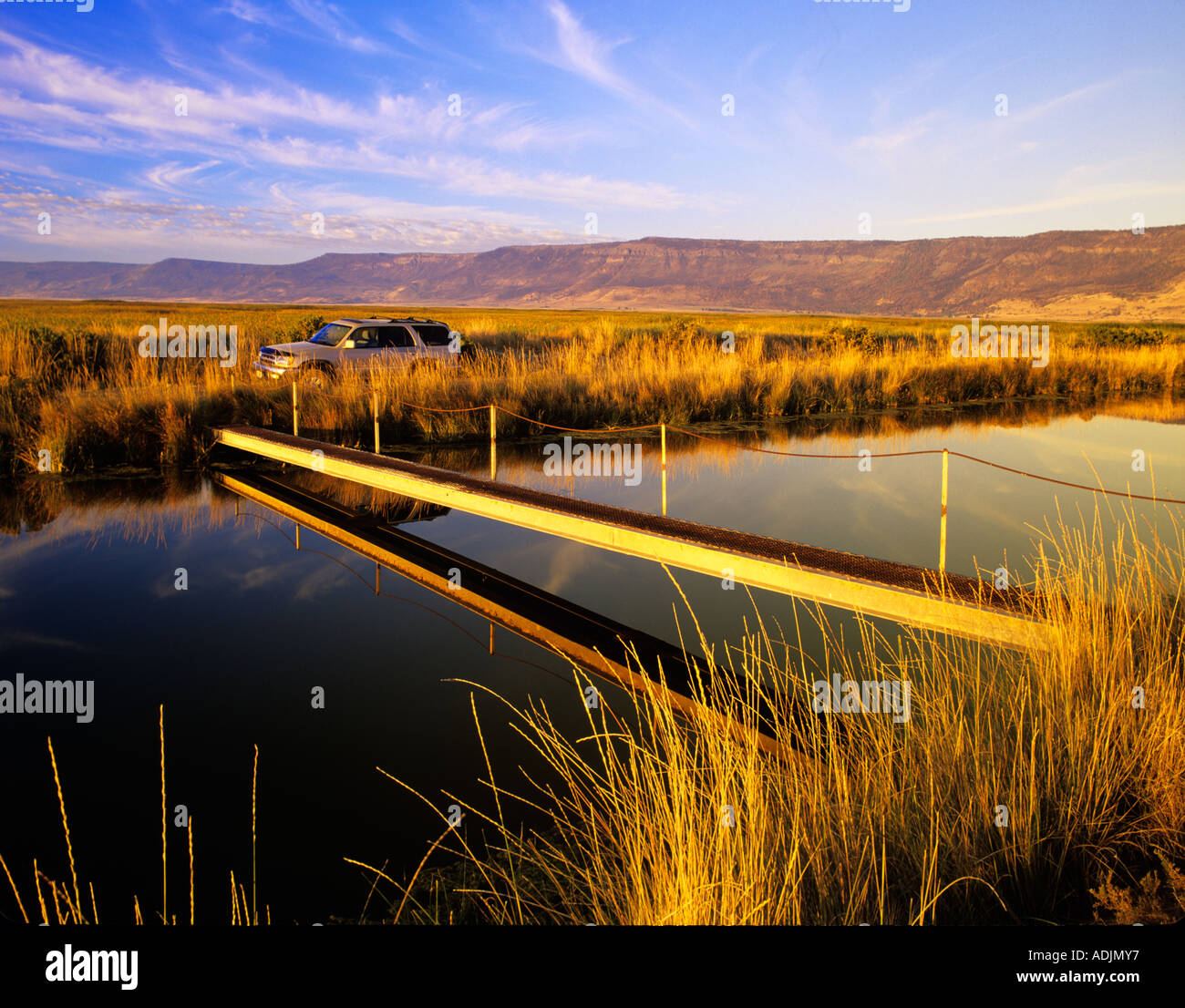 Lakes ponds summer landscapes hi-res stock photography and images - Alamy
