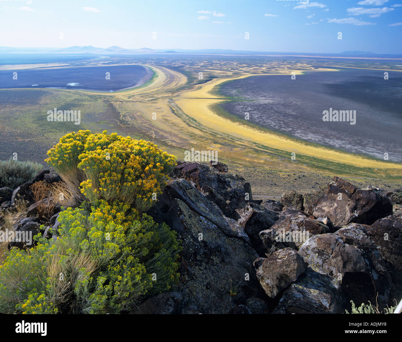 Rabbit Brush and Warner Valley as seen from Hart Mountain National ...