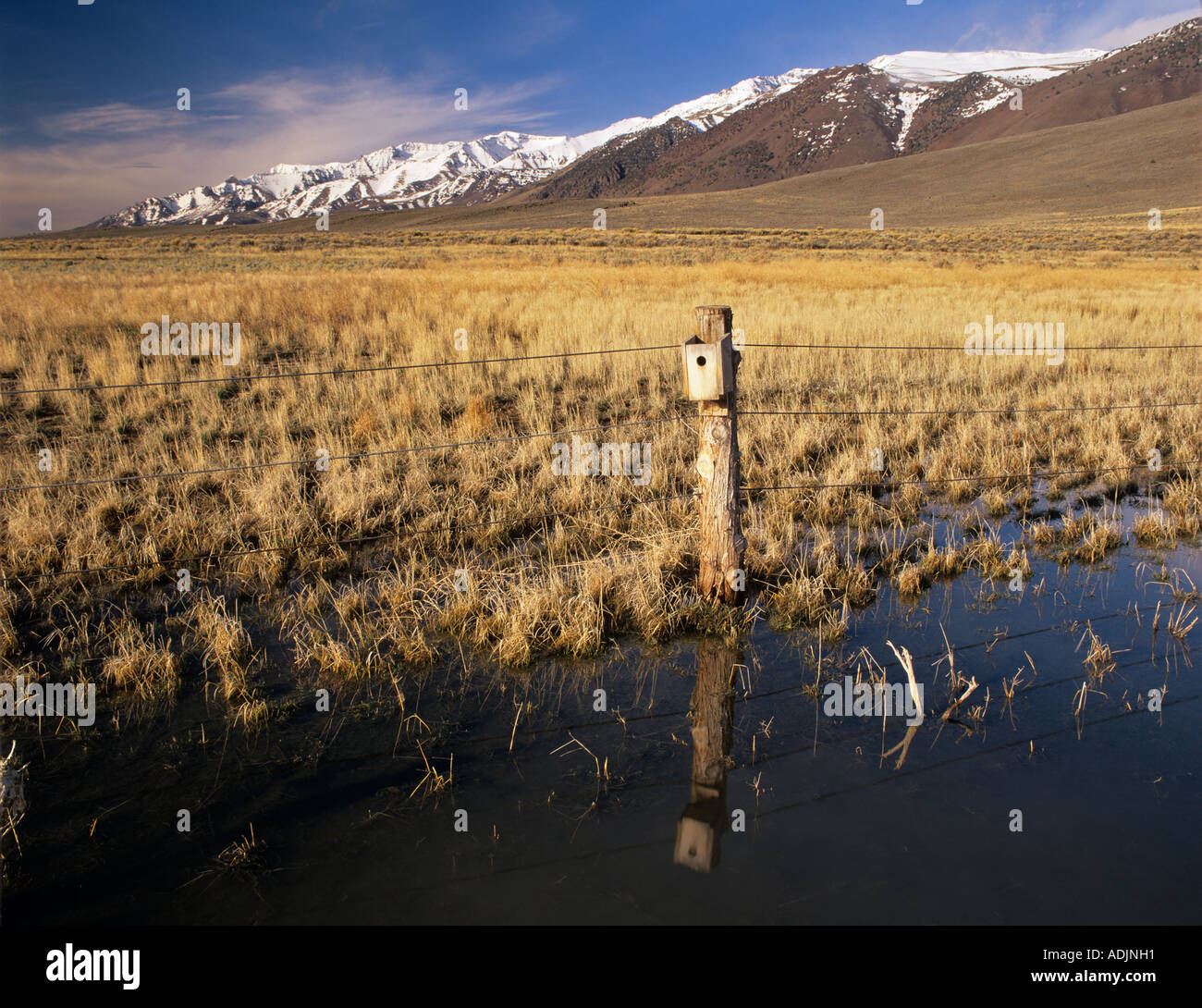 Birdhouse on shore of Mann Lake with Steens Mountain Oregon Stock Photo ...