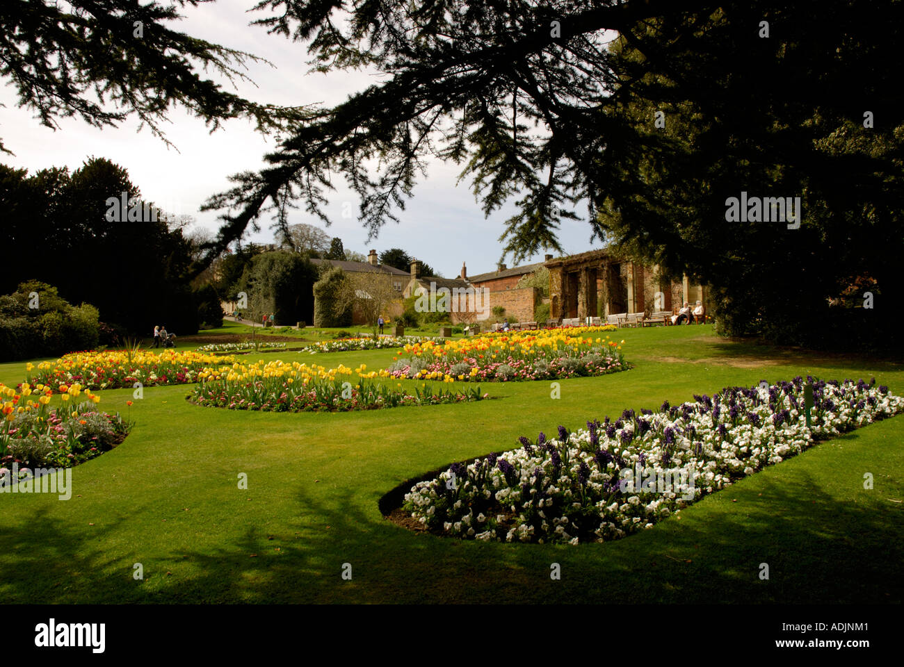 Stately plants hi-res stock photography and images - Alamy