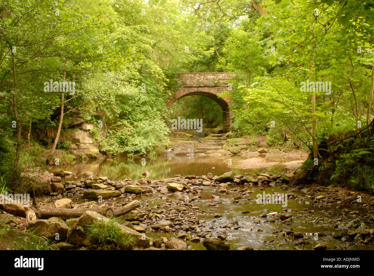 Littlebeck High Resolution Stock Photography and Images - Alamy