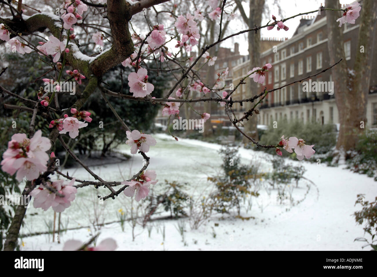 Connaught square london hi-res stock photography and images - Alamy