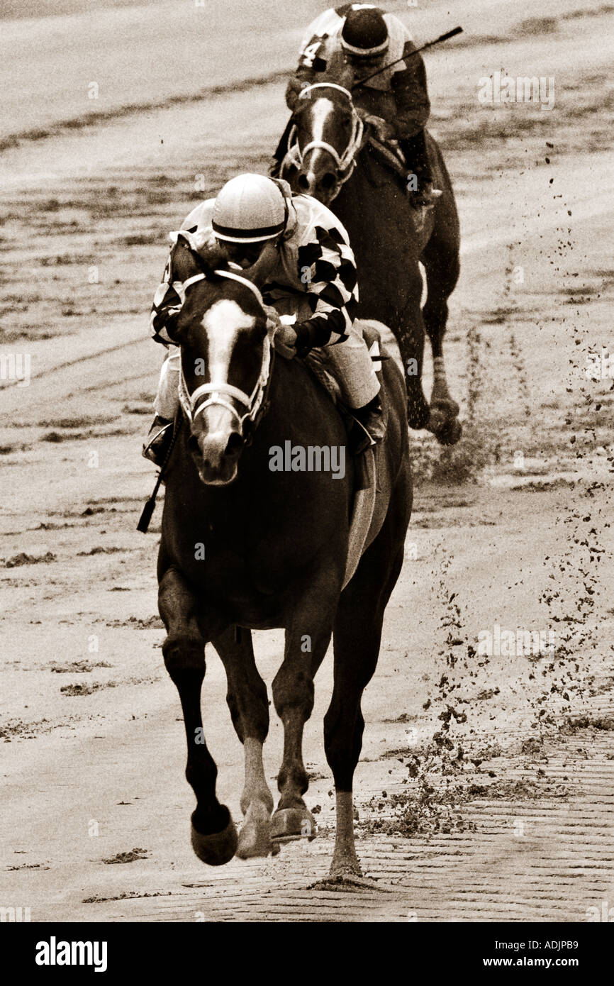 Horse flinging mud while racing each other in Belmont Race Track New ...
