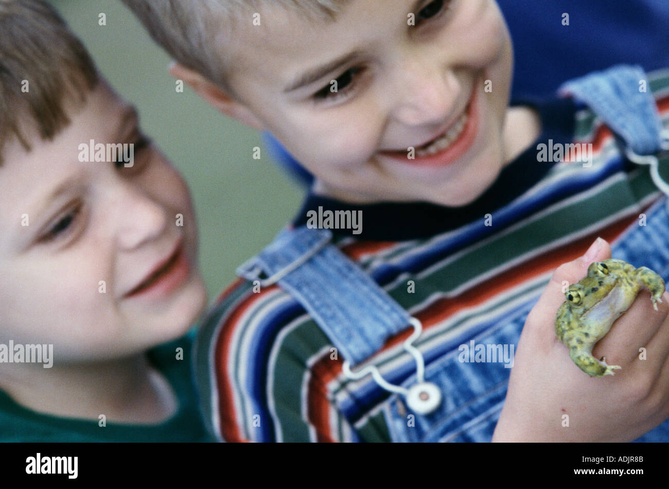 Boy looking frog hi-res stock photography and images - Alamy