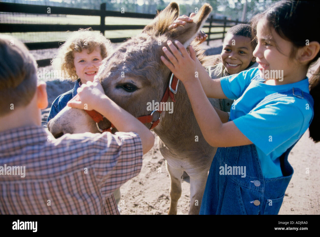 Group of children standing with a donkey Stock Photo - Alamy
