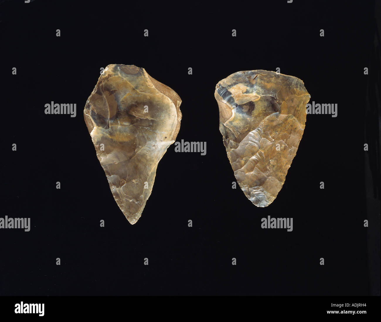 Palaeolithic hand axe hi-res stock photography and images - Alamy