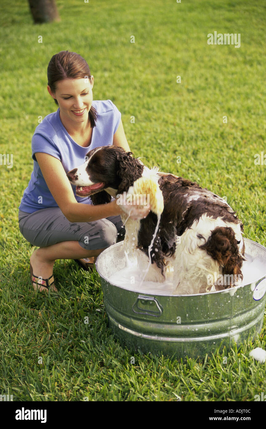 Young woman washing her dog Stock Photo - Alamy