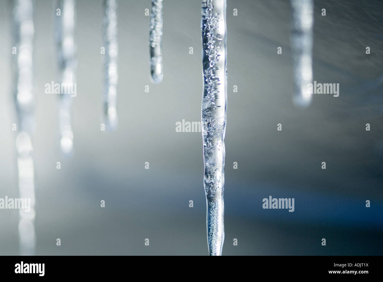 Nature Textures High Resolution Stock Photography and Images - Alamy