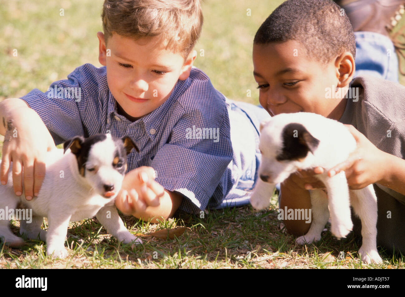 Two boys holding puppies hi-res stock photography and images - Alamy