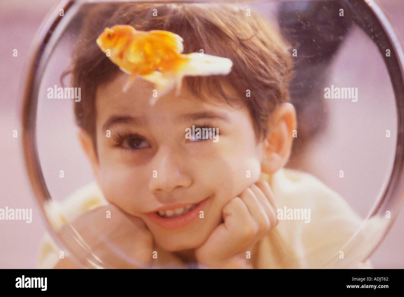 Boy looking at goldfish hi-res stock photography and images - Alamy