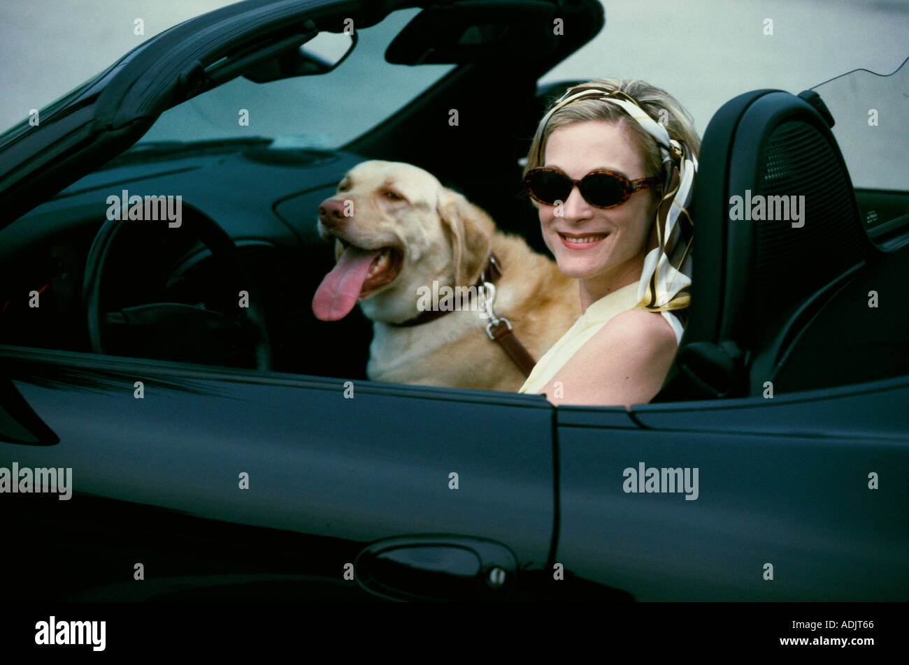 Dog Convertible Stock Photos & Dog Convertible Stock Images - Alamy