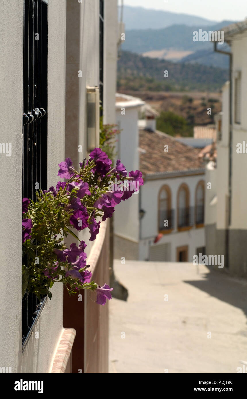 Window Boxes filled with flowers in the traditional pretty village of ...