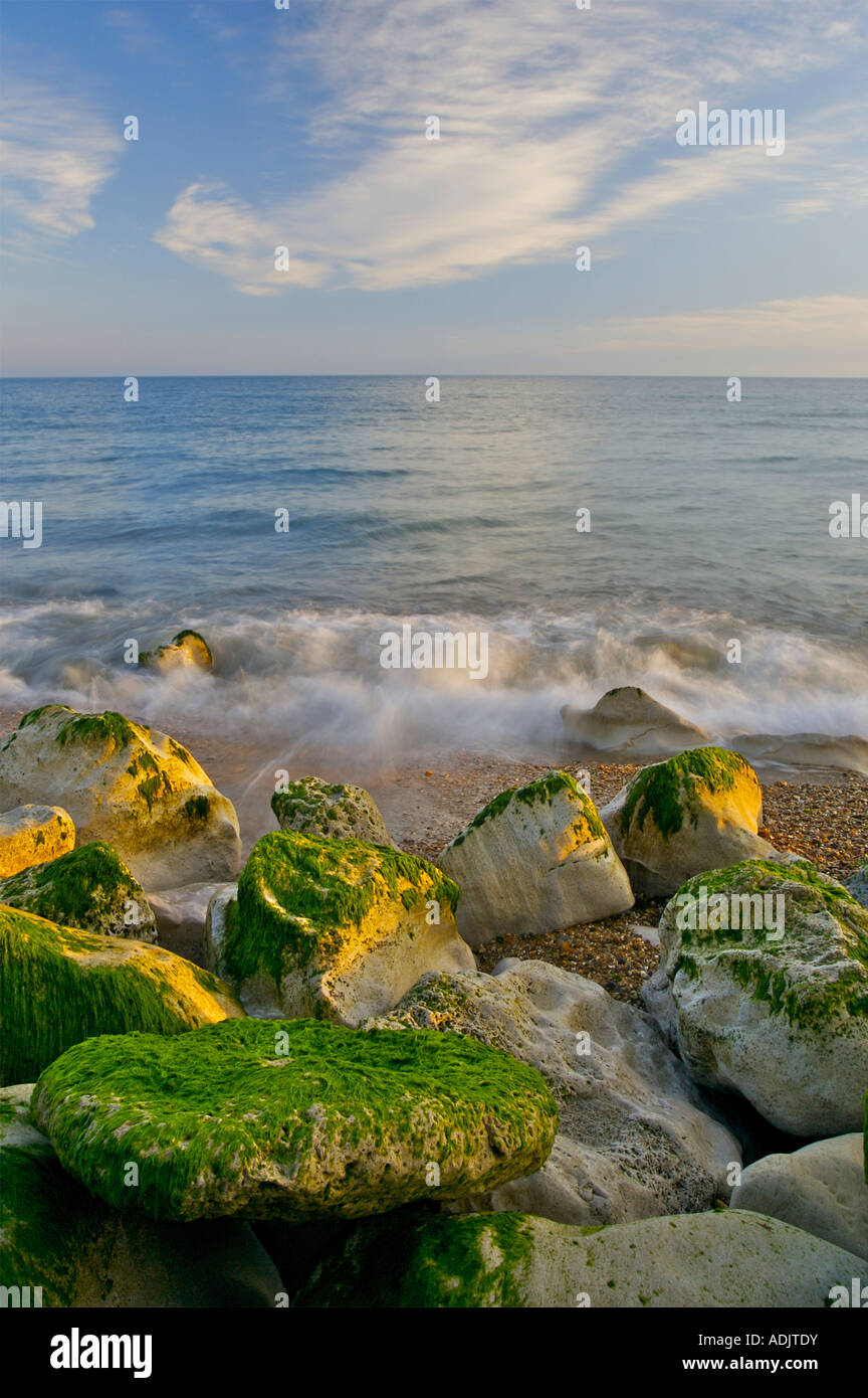 Seaweed covered Chalk Stones line the shoreline at Milford Beach ...