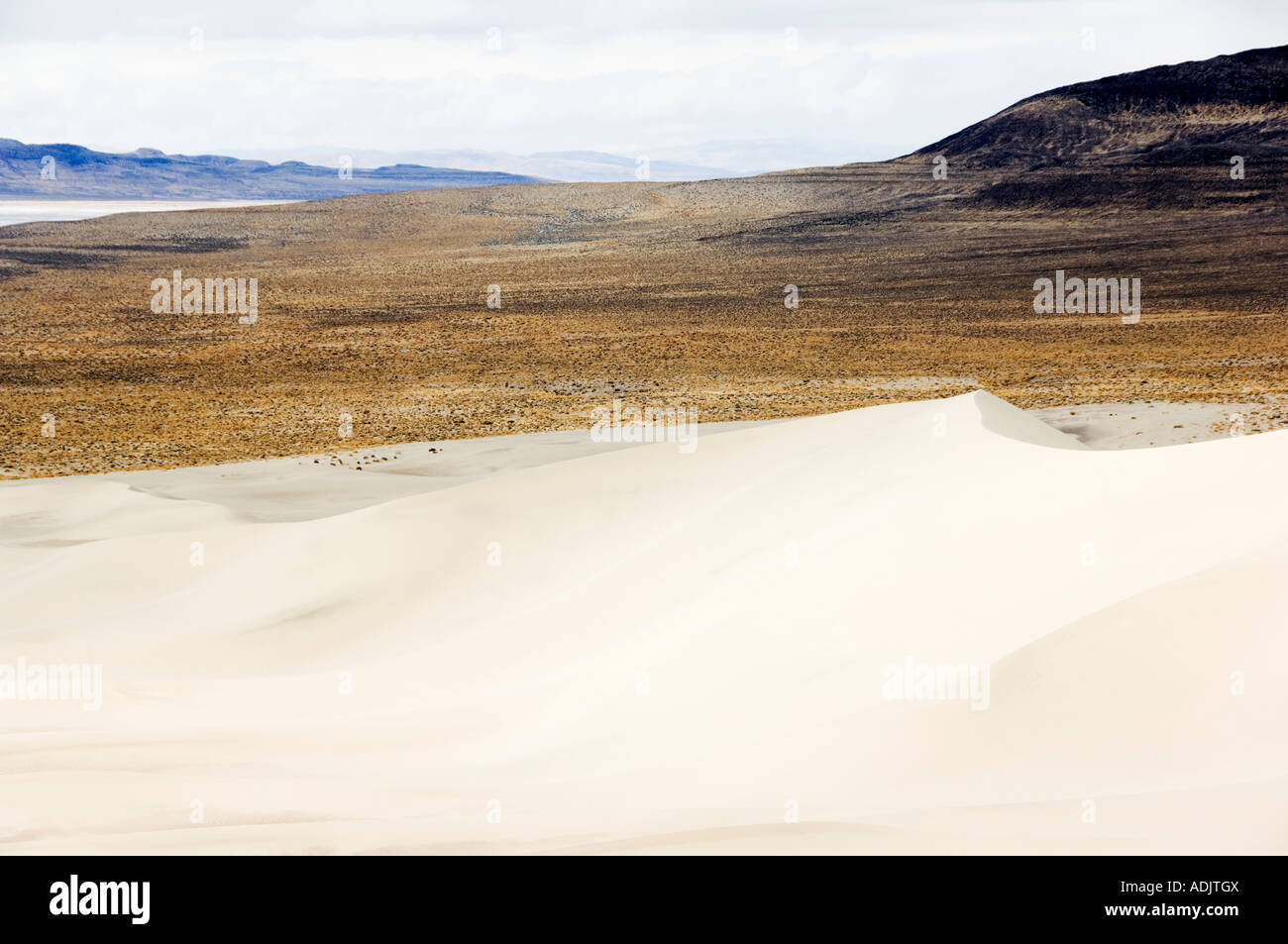 USA Nevada desert sand dunes and recreation area scenery on US Route 50 ...