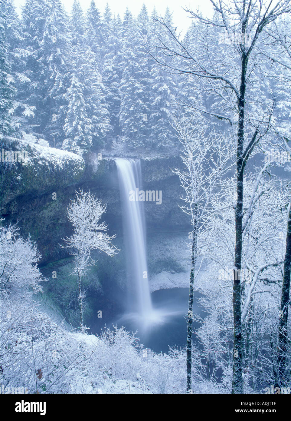 South Falls with snow Silver Falls State Park Oregon Stock Photo - Alamy