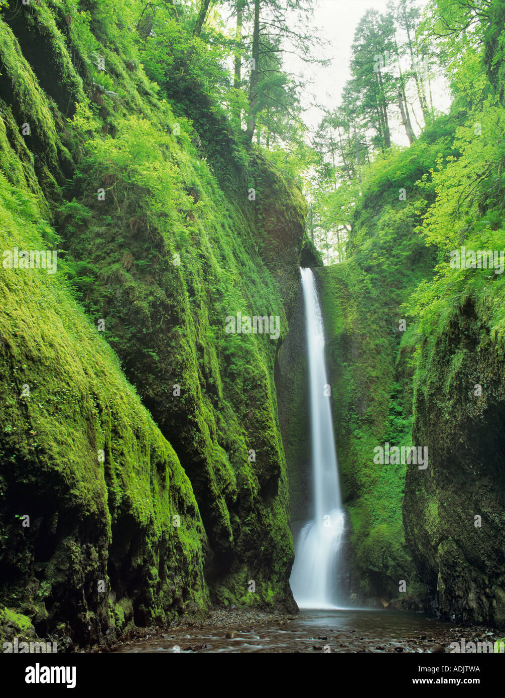 Oneonta Falls Columbia river gorge National Scenic Area Oregon Stock ...