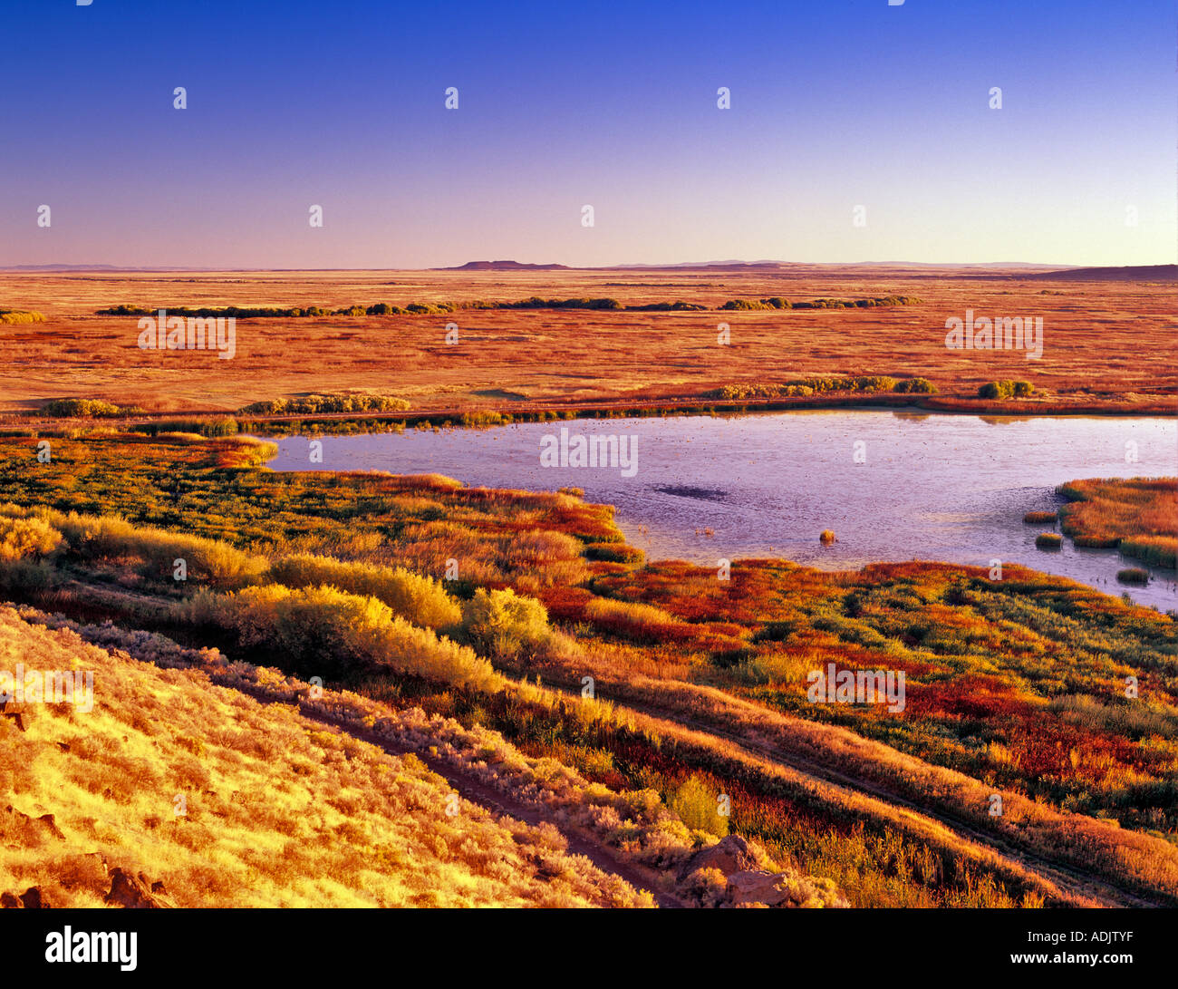 Malheur national wildlife refuge hi-res stock photography and images ...