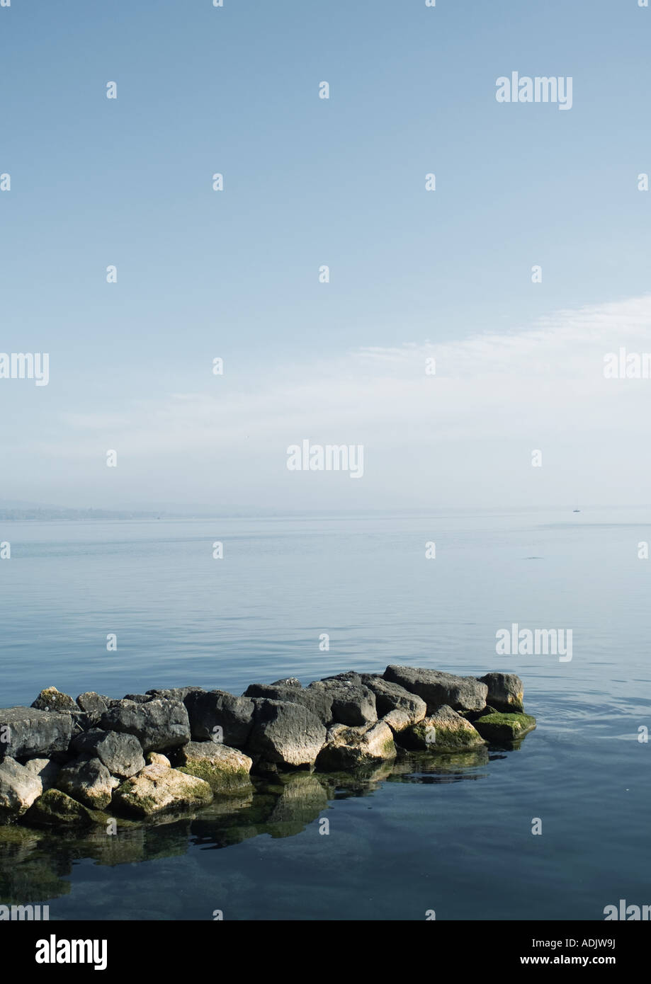 Close up shot rock algae hi-res stock photography and images - Alamy