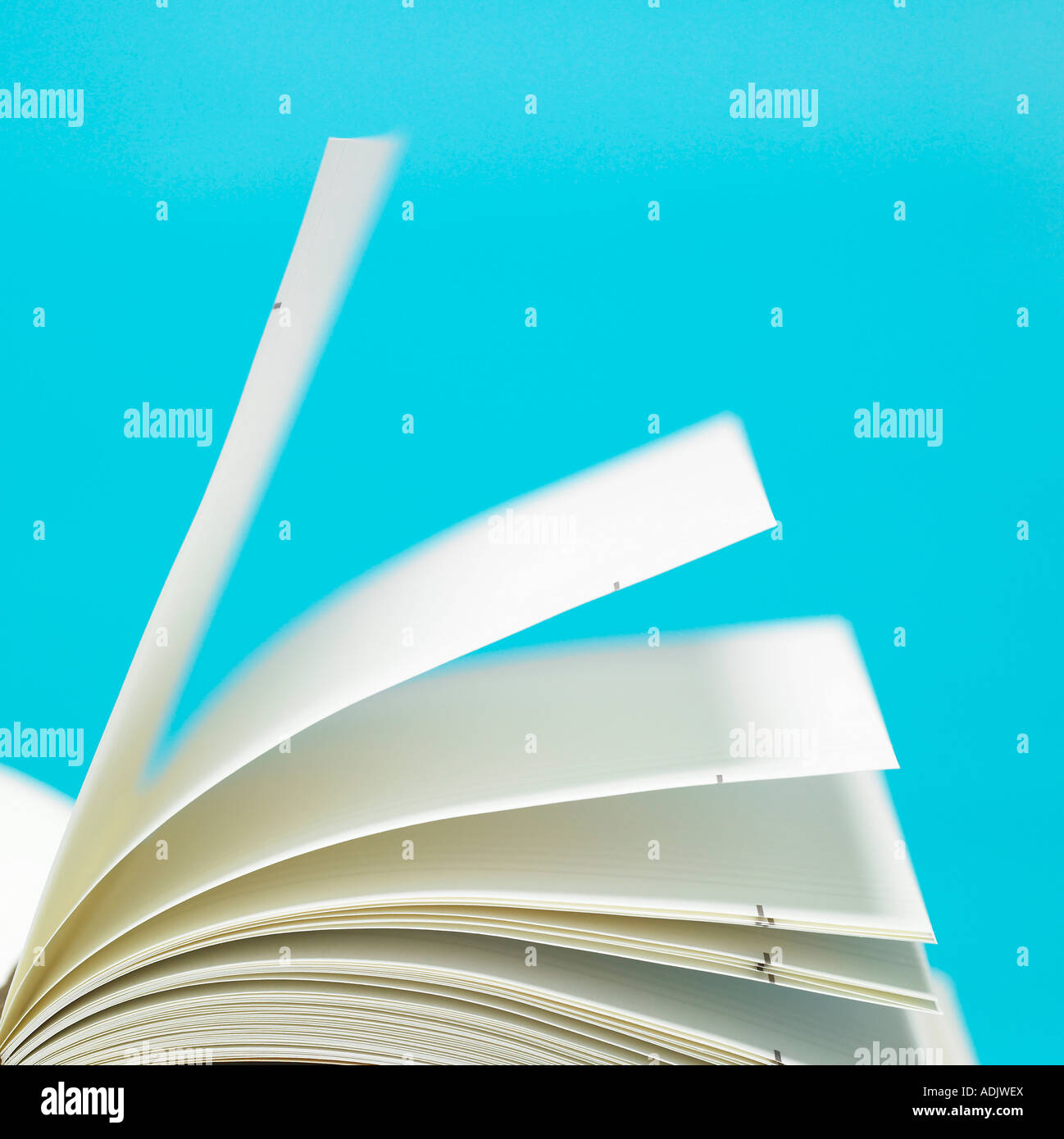 A book is opened Stock Photo - Alamy
