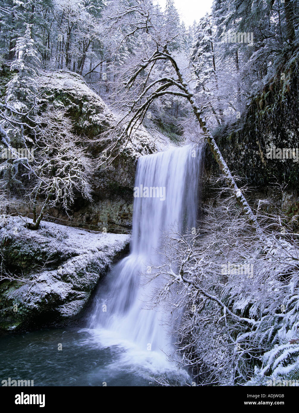 Silver falls state park winter hi-res stock photography and images - Alamy