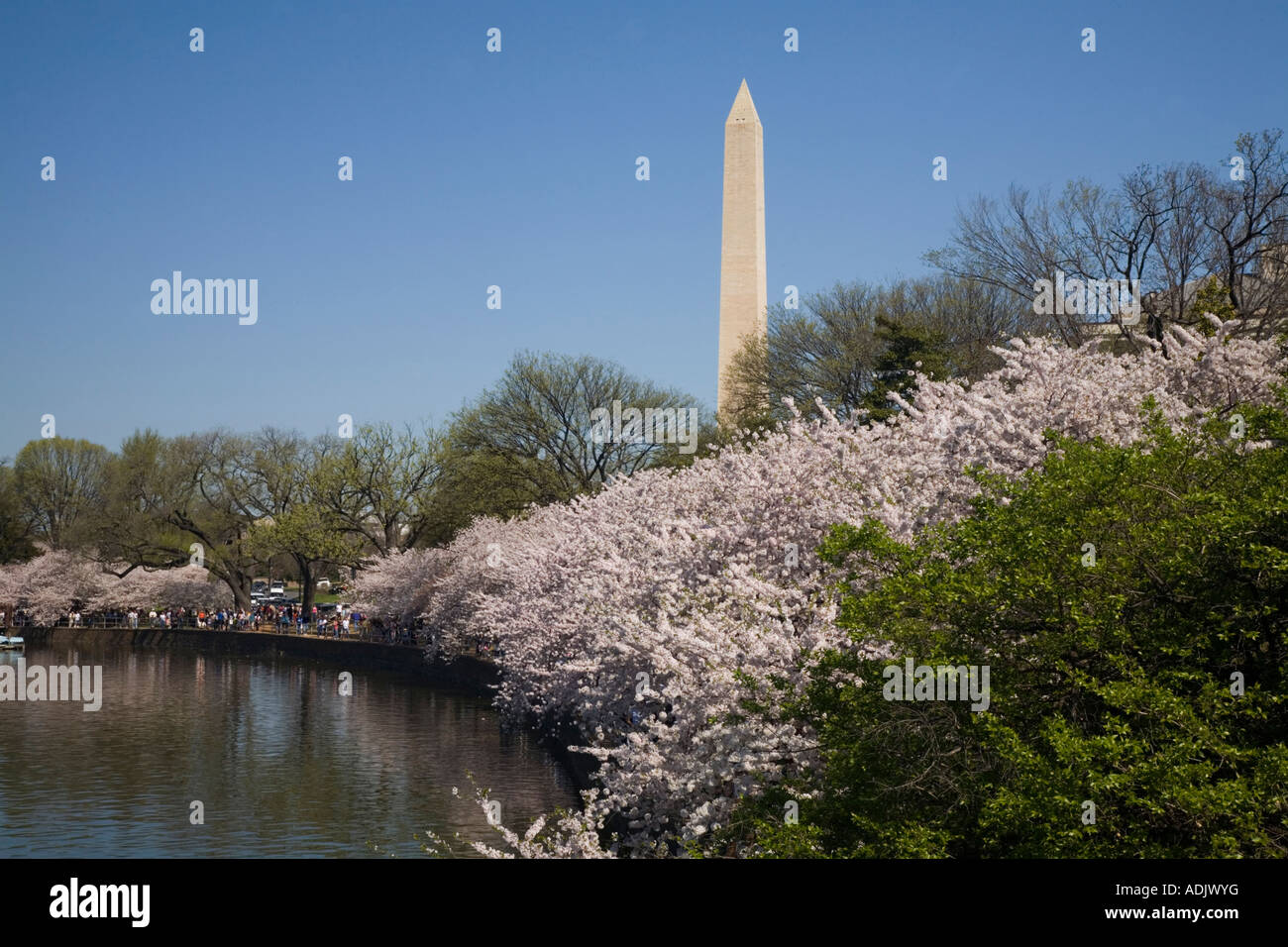 Washington dc spring attractions hi-res stock photography and images ...