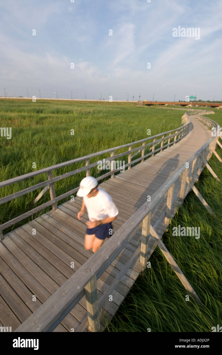 Jogging on a boardwalk through a marsh Stock Photo - Alamy