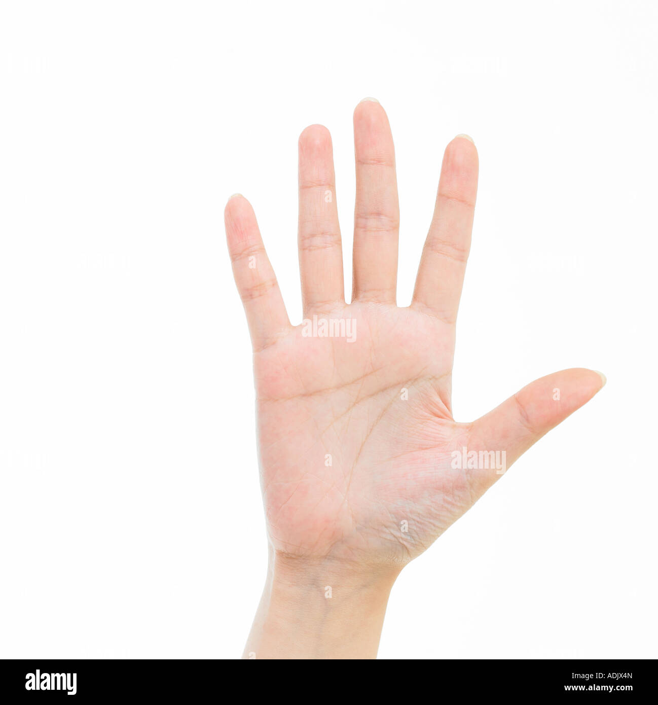 Hand palm lines hi-res stock photography and images - Alamy