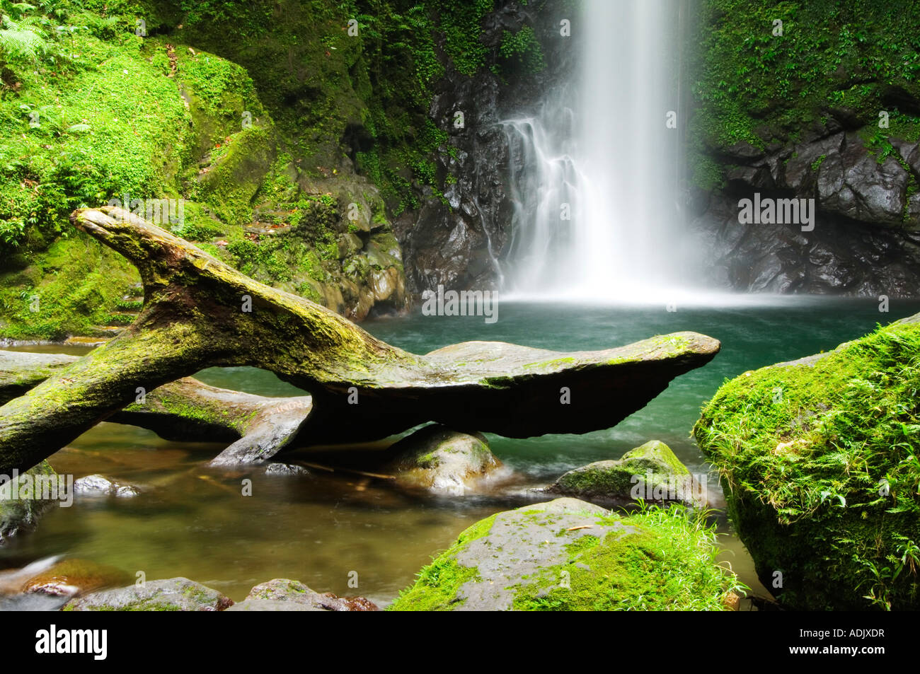 South East Luzon Bicol Mt Isarog National Park Malabsay Waterfall Stock ...