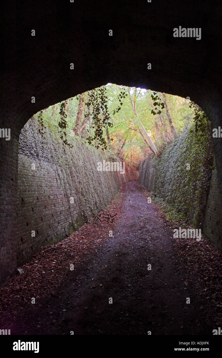 Bridgewater pathway hi-res stock photography and images - Alamy
