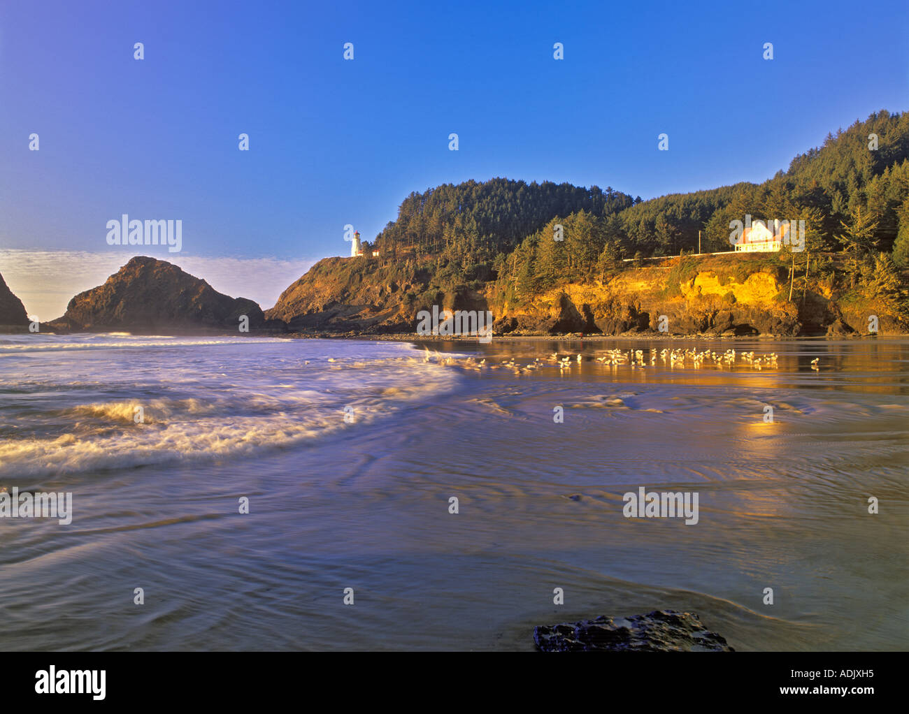 Beach and Heceta Lighthouse Devil s Elbow State Park Oregon Stock Photo ...