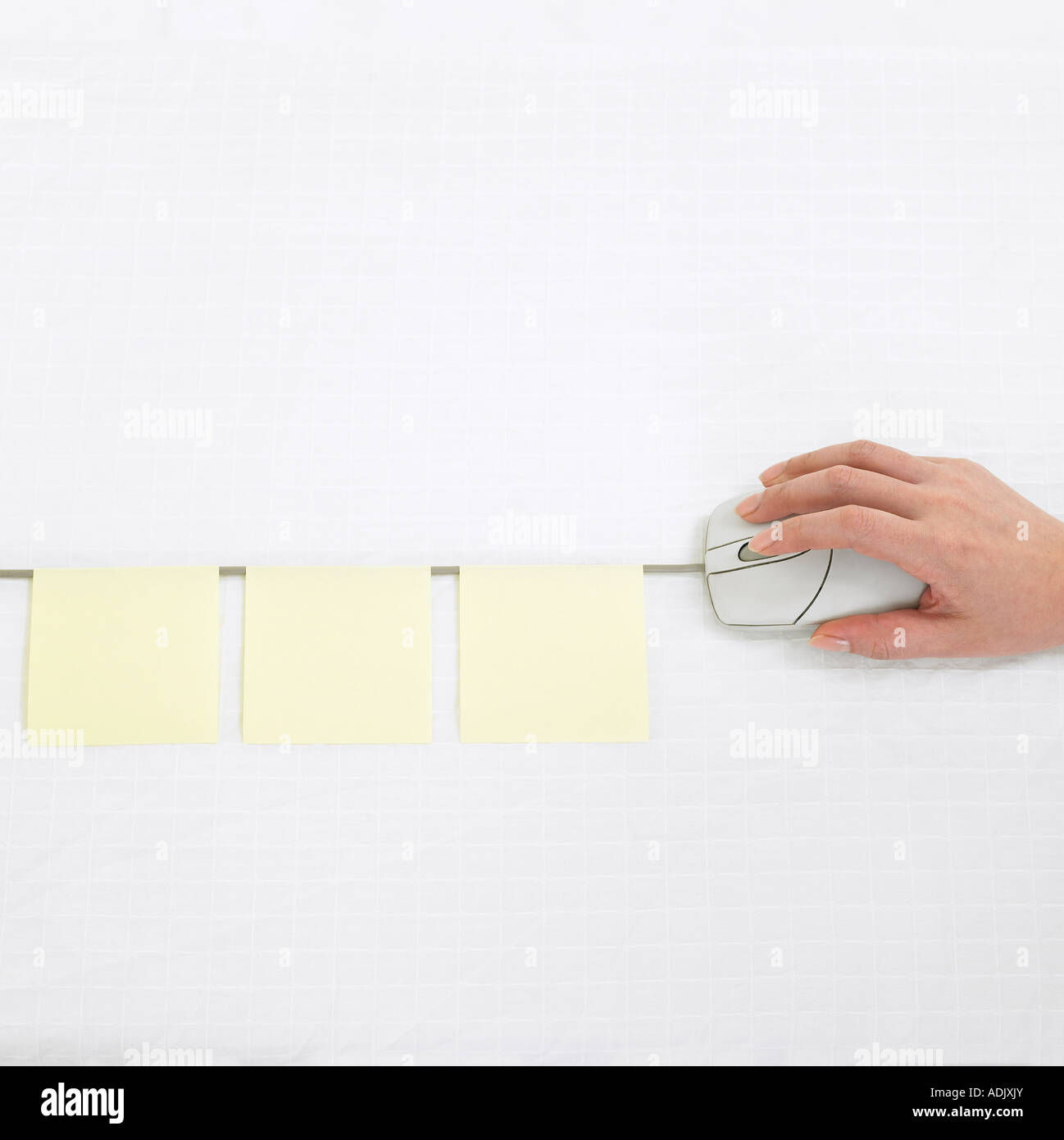 A woman's hand holding a mouse Stock Photo - Alamy