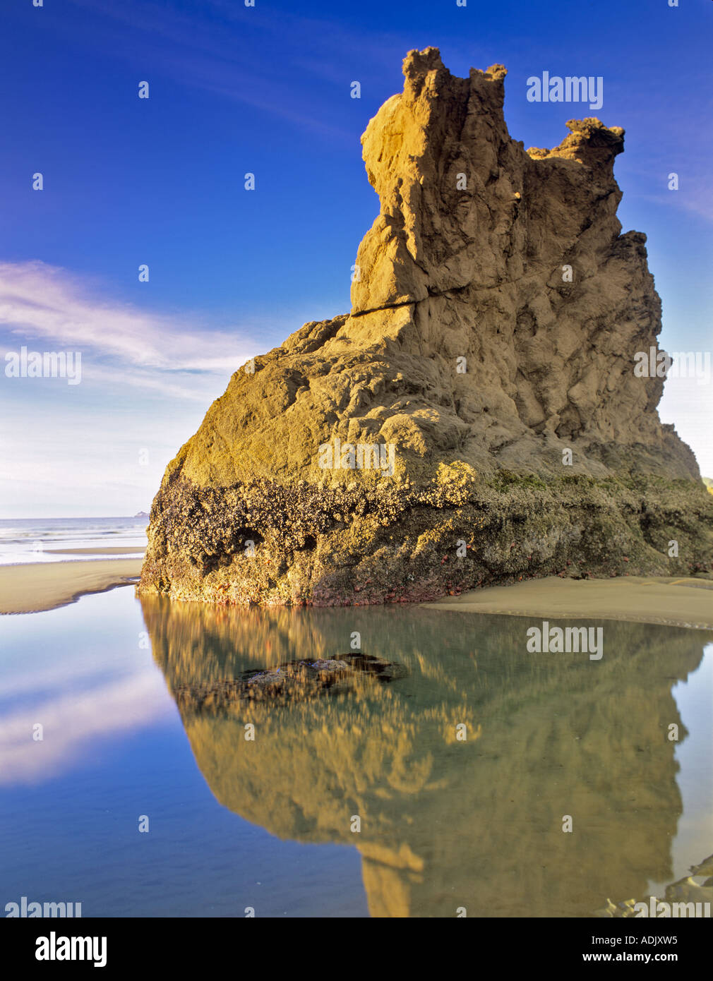 Low tide pools at Bandon Beach Oregon Stock Photo - Alamy