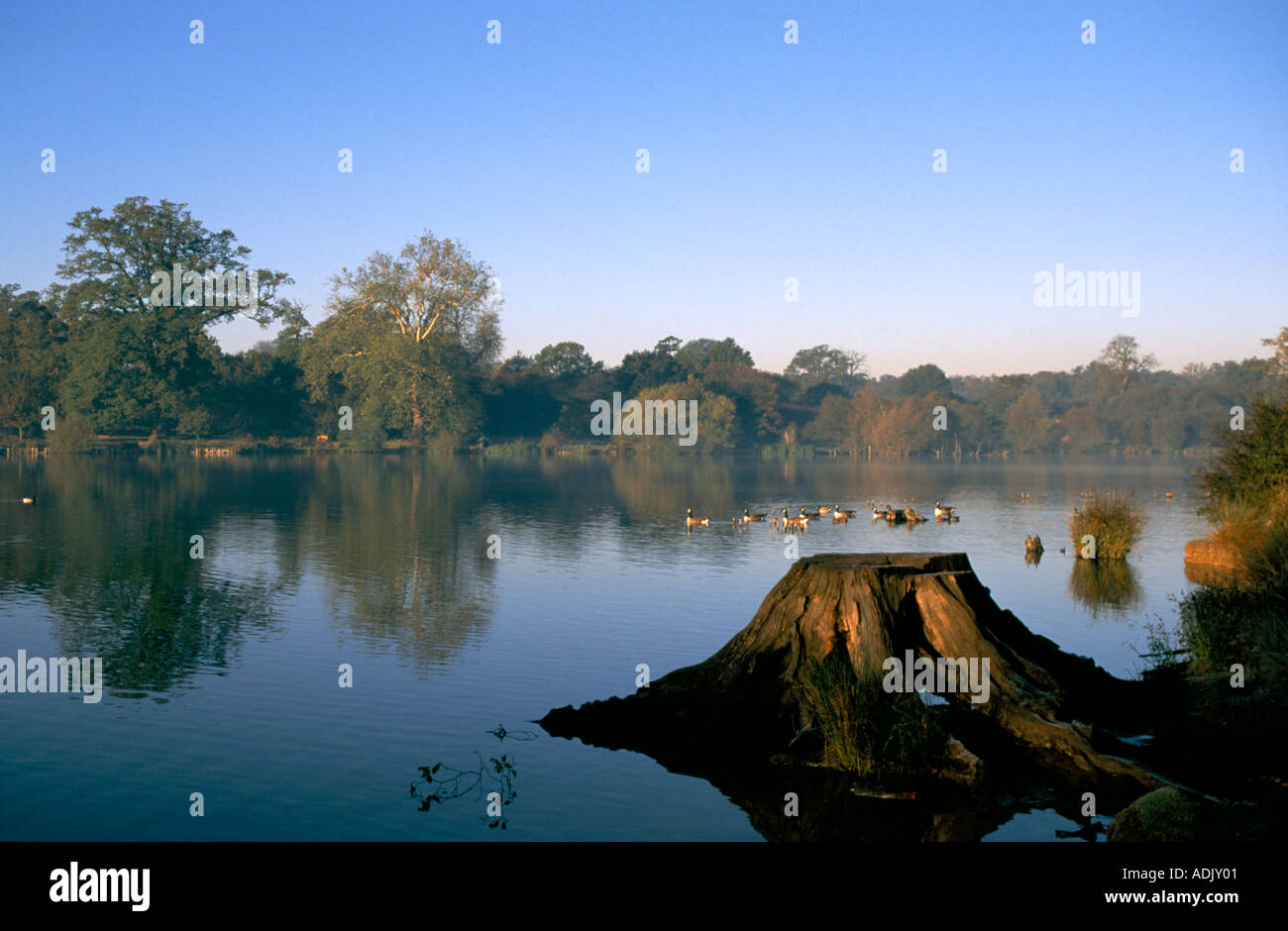 Hatfield forest hi-res stock photography and images - Alamy