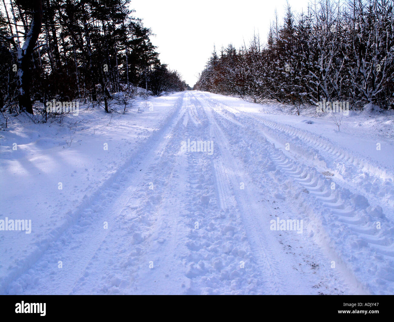 Centimeters of snow hi-res stock photography and images - Alamy