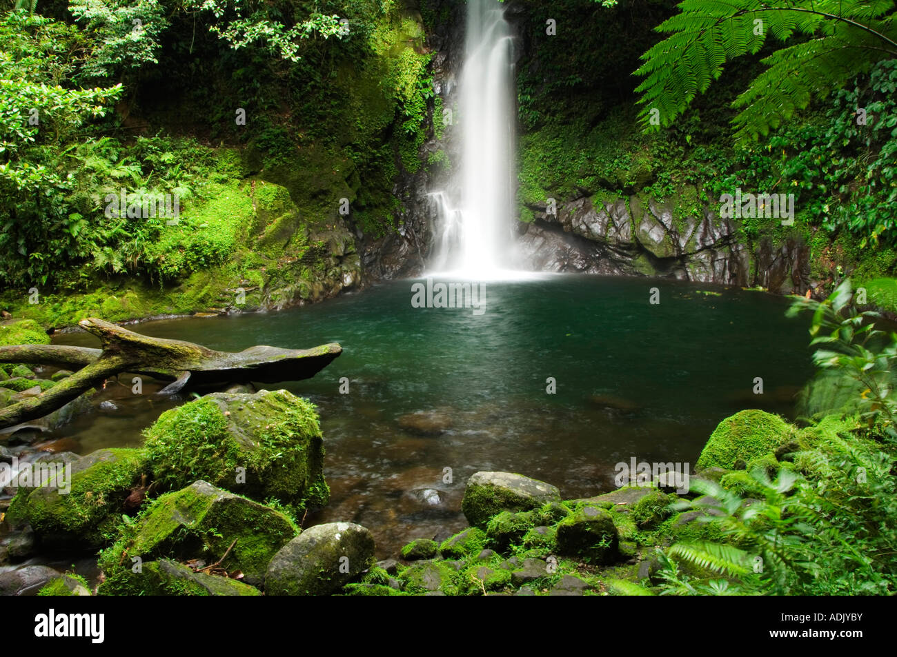 South East Luzon Bicol Mt Isarog National Park Malabsay Waterfall Stock ...