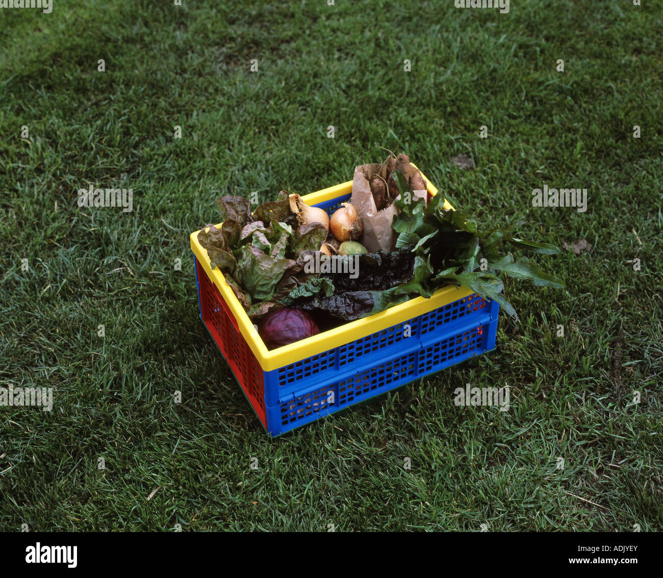 A BASKET OF ORGANIC VEGETABLES Stock Photo - Alamy