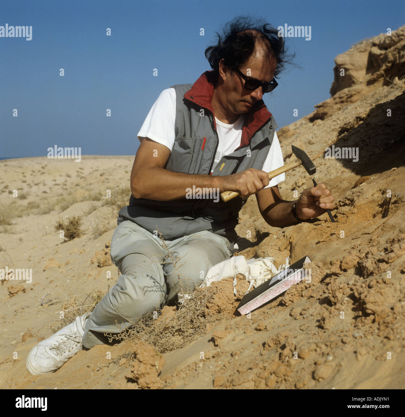 Palaeontologist High Resolution Stock Photography and Images - Alamy