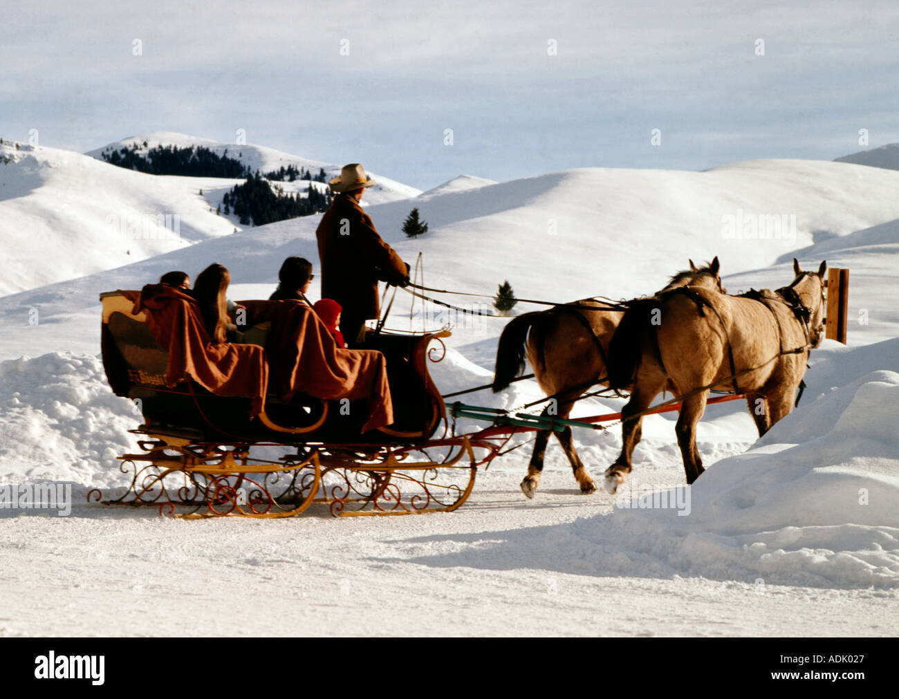 Sleigh horses winter snow hi-res stock photography and images - Alamy