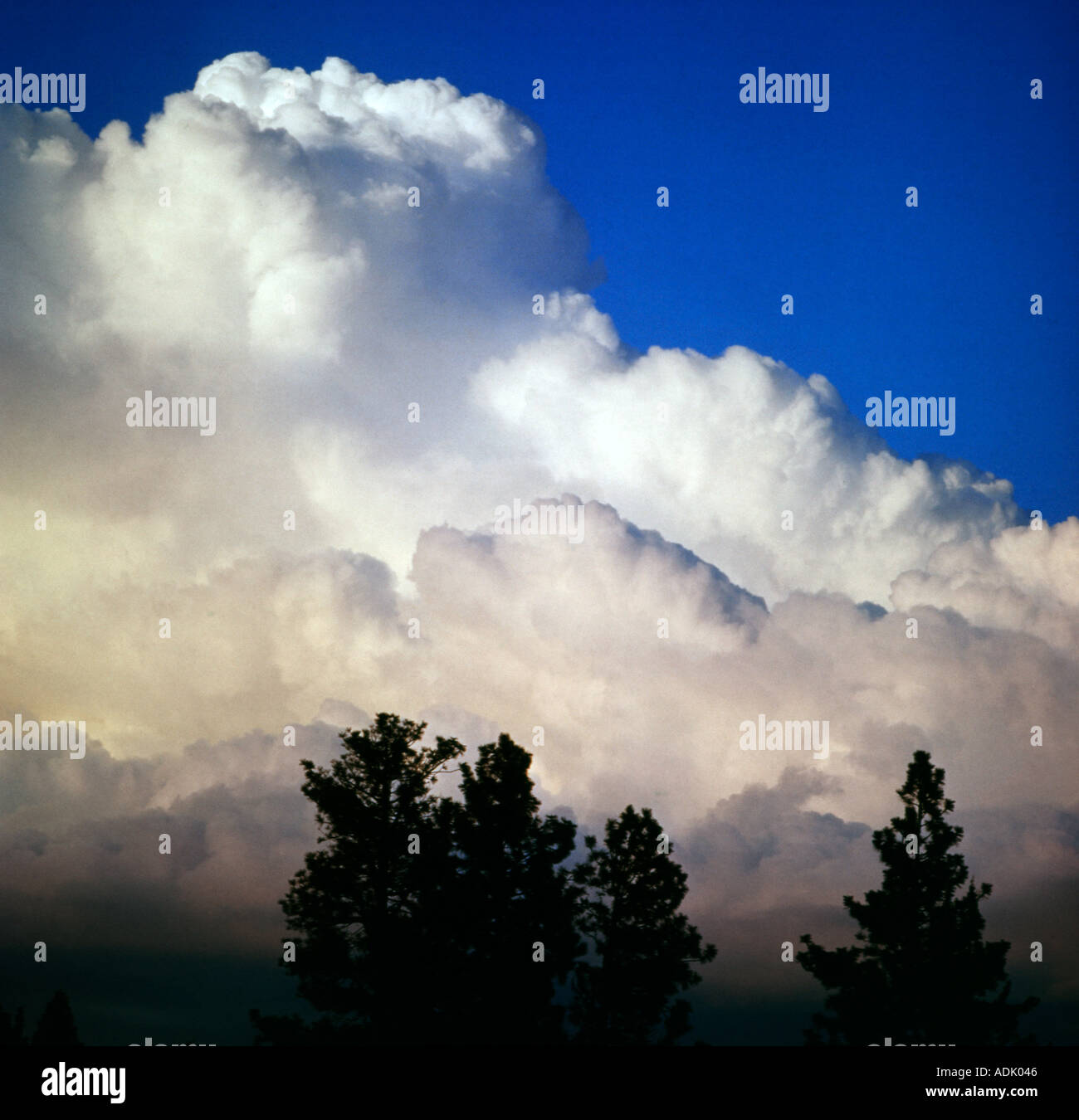 Thunderhead towering hi-res stock photography and images - Alamy